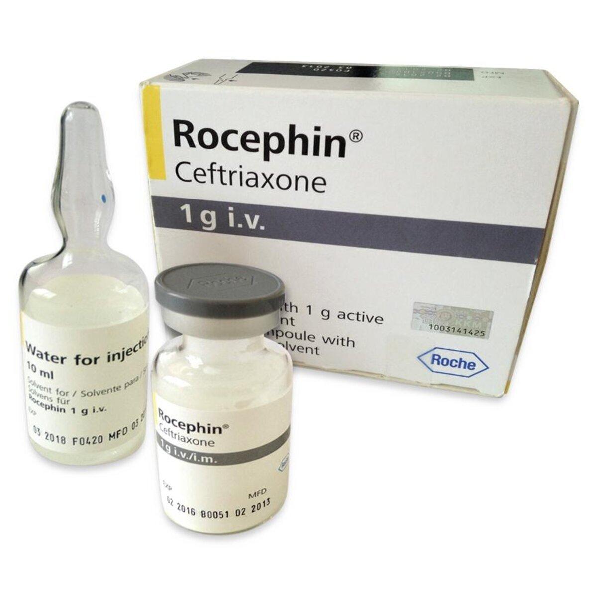 Rocephin 1g Powder For Solution Ceftriaxone 1 Inj Asset Pharmacy Rocephin 1g Powder For Solution Ceftriaxone 1 Inj Asset Pharmacy